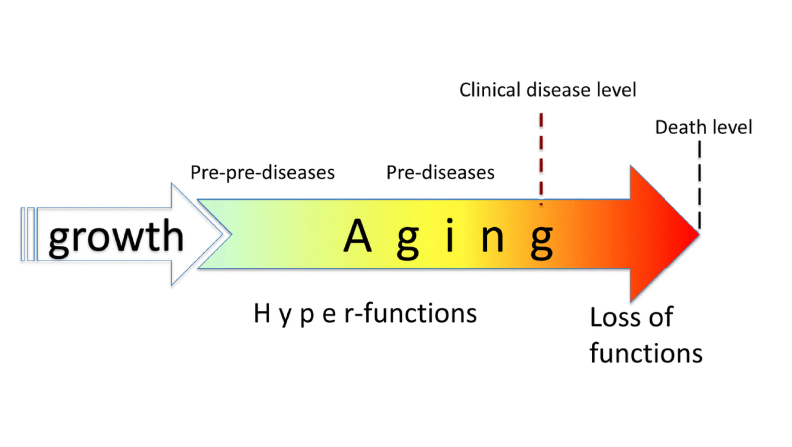 Aging Is Easily Treatable | Misha Blagosklonny